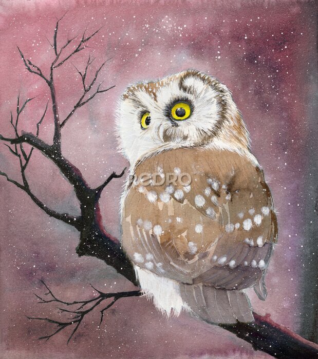 Bild Aquarell-Eule auf einem Ast im Winterwald nach Maß - myredro.de