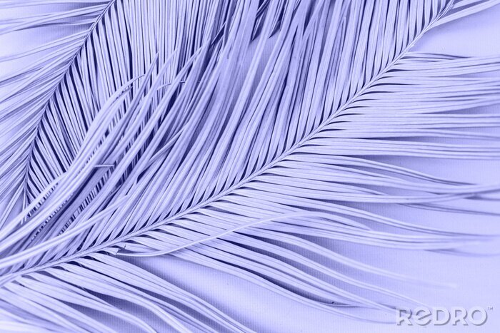 Bild Lila Palme nach Maß - myredro.de