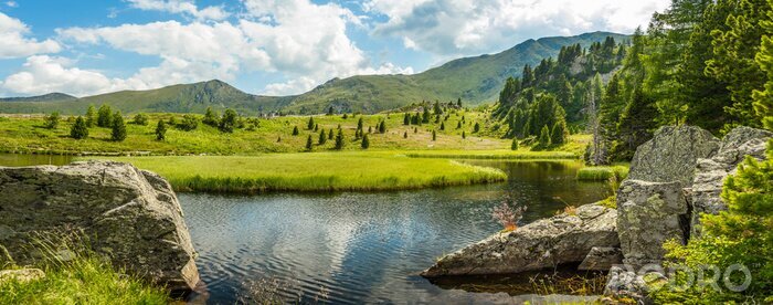 Fototapete Grün mitten in Bergen nach Maß - myredro.de