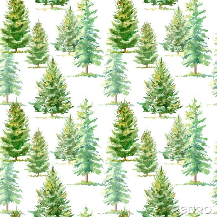 Poster Floral nahtlose Muster einer Fichte tree.Watercolor Hand ...