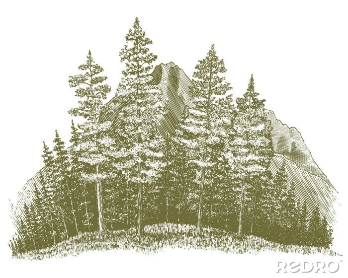 Poster Holzschnitt-Berg Drawing nach Maß - myredro.de