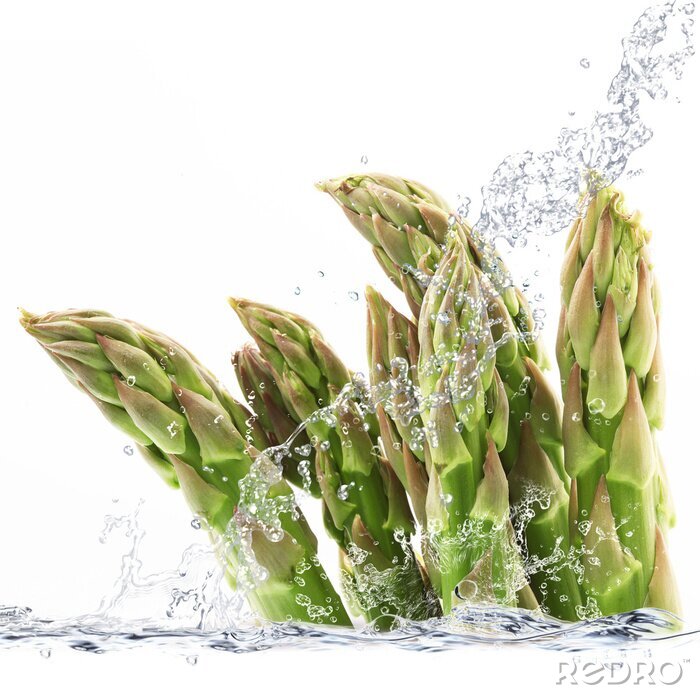 Sticker Spargel in Wasser nach Maß - myredro.de