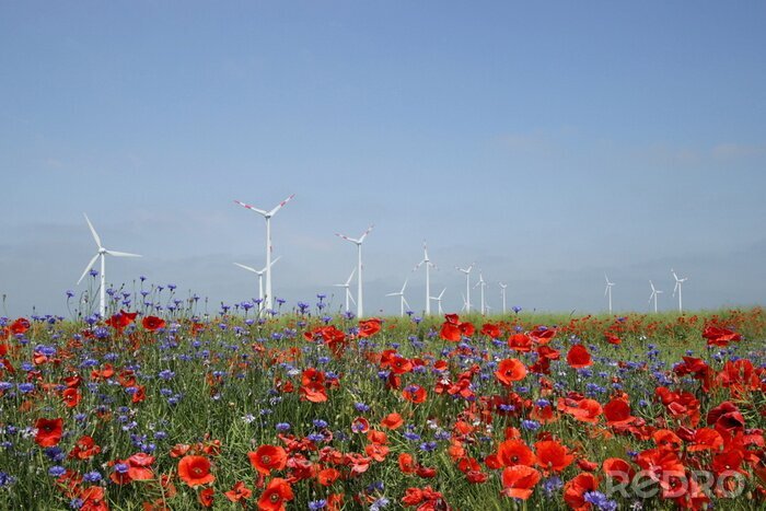 Sticker Windrad und Mohn- und Kornblumenfeld nach Maß - myredro.de